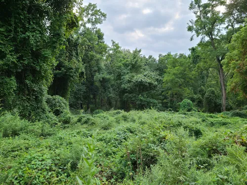 Best Hikes and Trails in Montrose Point State Forest | AllTrails