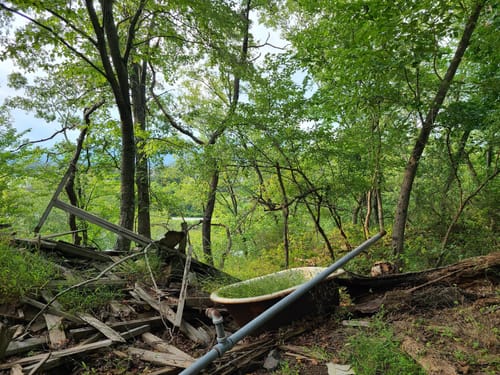 Best Hikes and Trails in Montrose Point State Forest | AllTrails