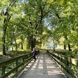 Virginius Island Trail, West Virginia - 203 Reviews, Map | AllTrails