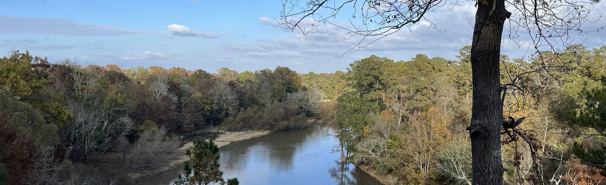 Spanish Moss Trail, North Carolina - 91 Reviews, Map | AllTrails