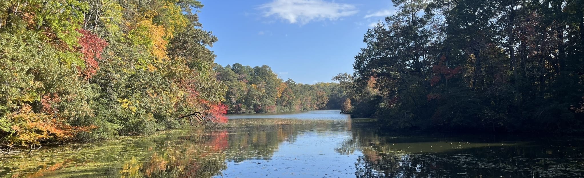 Noland Loop Trail: 1541 Reviews, Map - Virginia | AllTrails