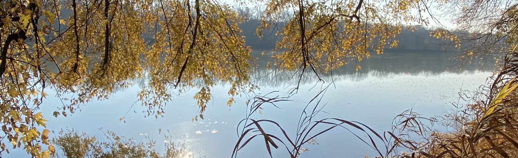 Grand River Paddle: Highway 18 to Caledonia Kinsmen Park, Ontario ...