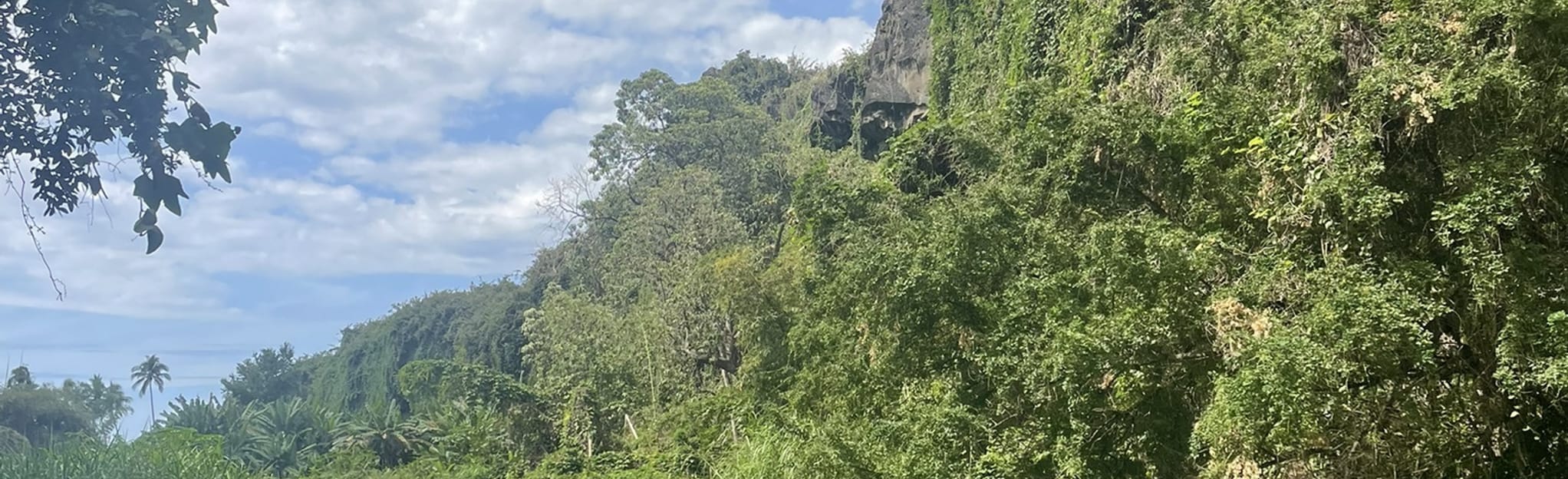 Ravine de Bernica, Réunion - 10 Reviews, Map | AllTrails