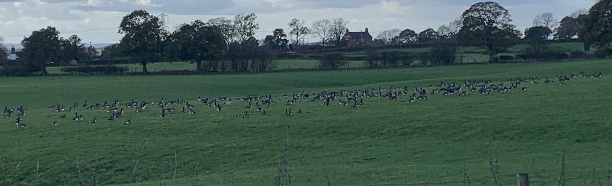 Bosley Circular: 29 Reviews, Map - Cheshire, England | AllTrails