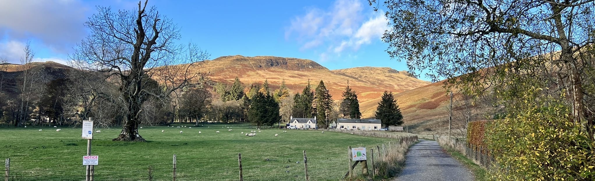 Ben Chonzie: 452 Reviews, Map - Perth and Kinross, Scotland | AllTrails