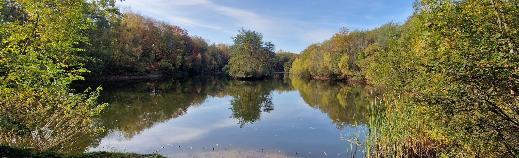 Baarlo - Boekend, Limburg, Netherlands - Map, Guide | AllTrails
