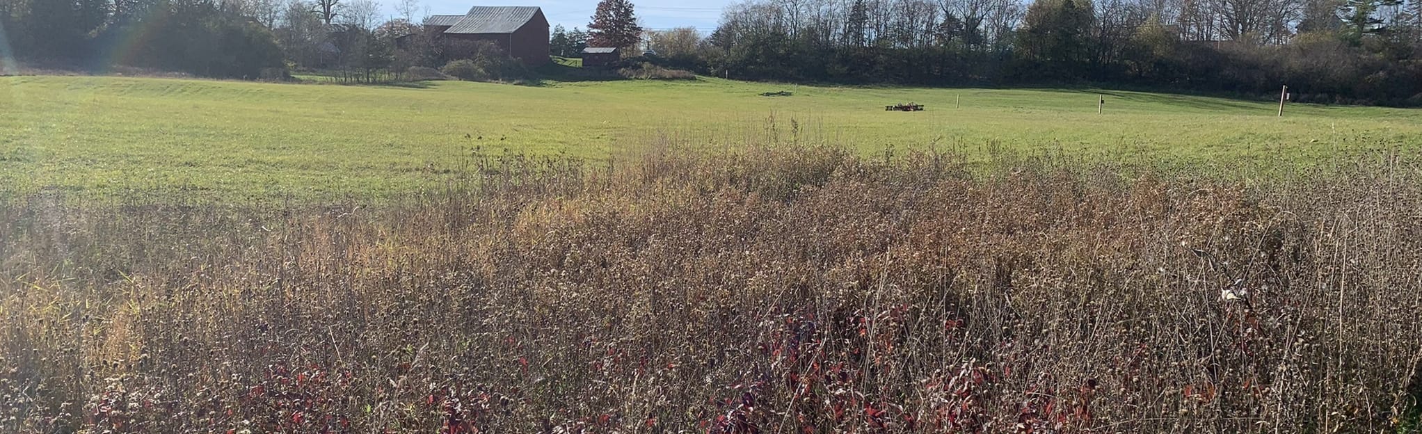 Farm Path and Overlook Path Loop - New York | AllTrails
