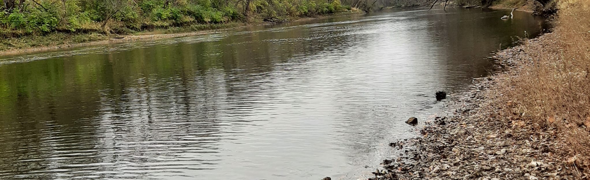 Kishwaukee Gorge North Loop, Illinois - 93 Reviews, Map | AllTrails