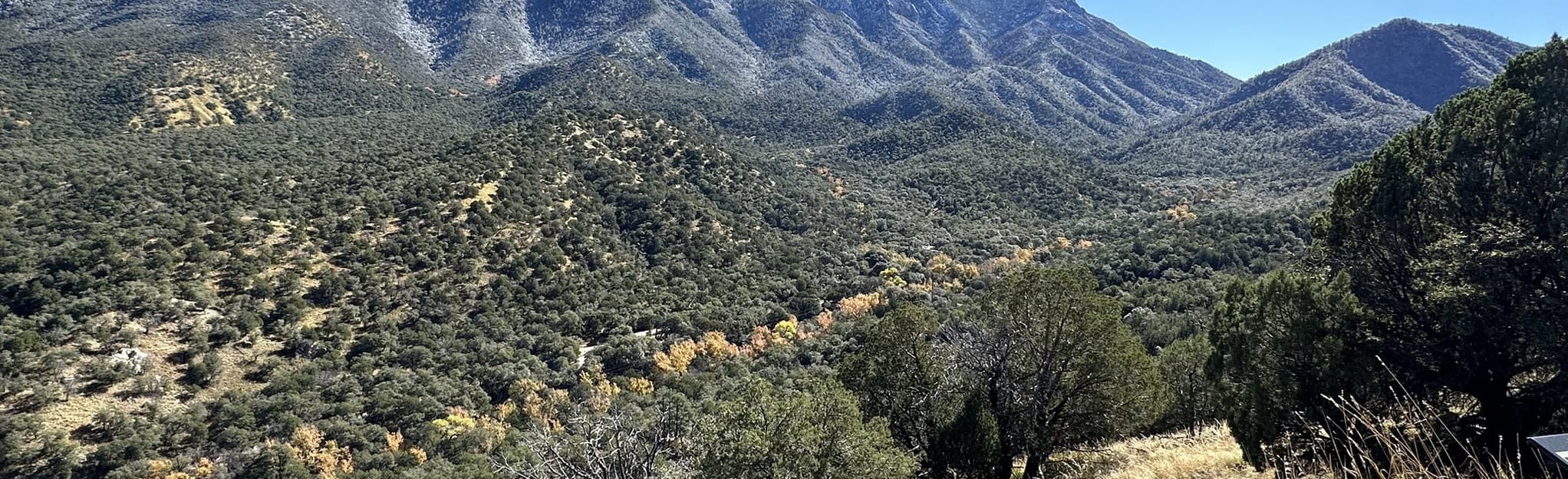 Mount Wrightson Nature Trail, Arizona - 211 Reviews, Map | AllTrails