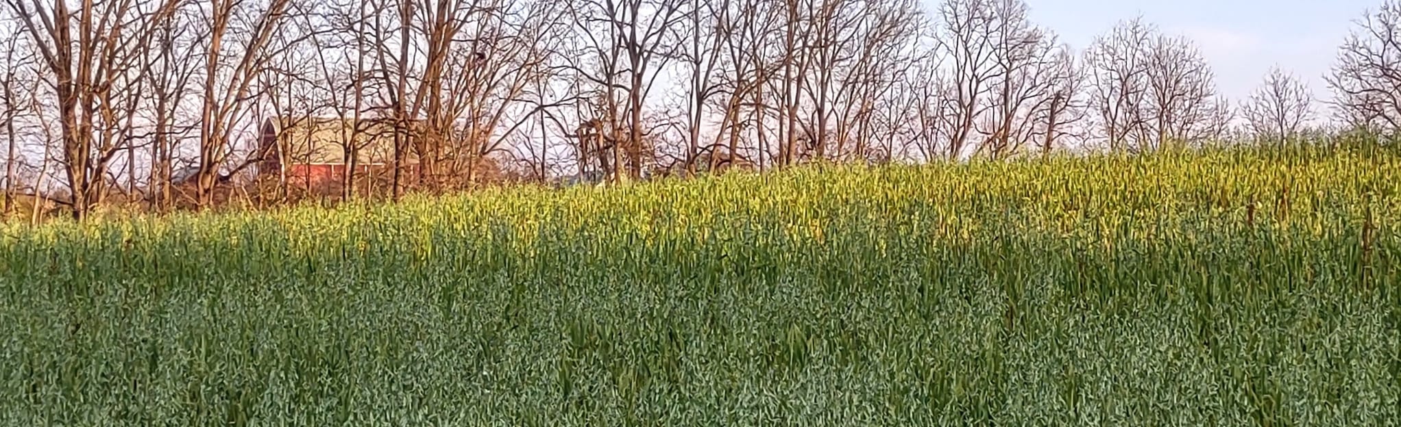 Brauer Preserve: Blue, Yellow, Green and Red Trail Loop: 70 Reviews ...