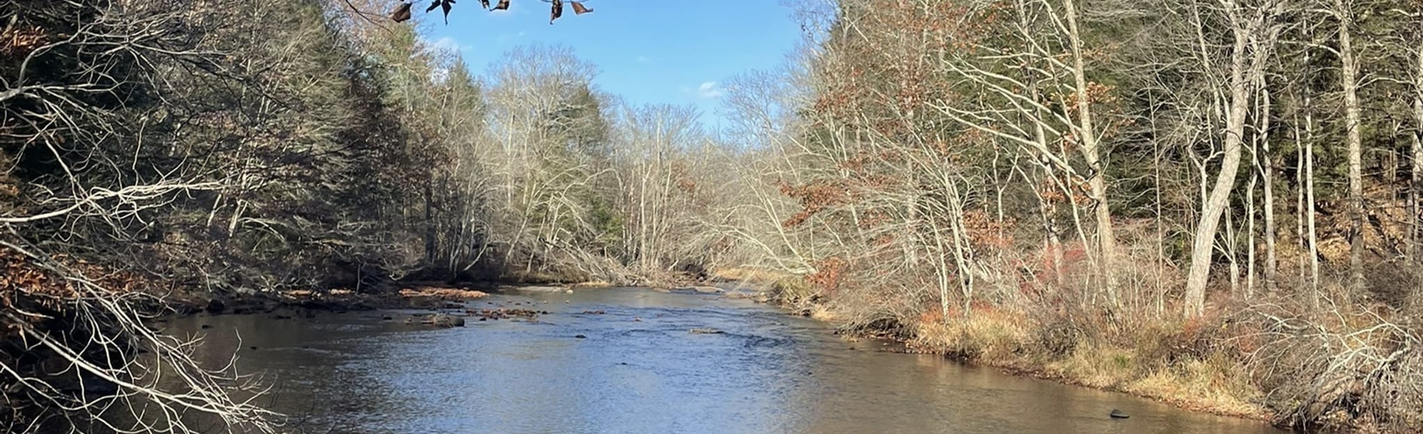 King Riverside Conservation Area Trail: 16 Reviews, Map - Connecticut ...