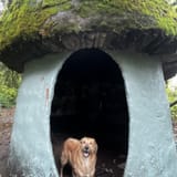 Galen McBee Airport Park Loop, Oregon - 210 Reviews, Map | AllTrails