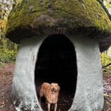 Galen McBee Airport Park Loop, Oregon - 210 Reviews, Map | AllTrails