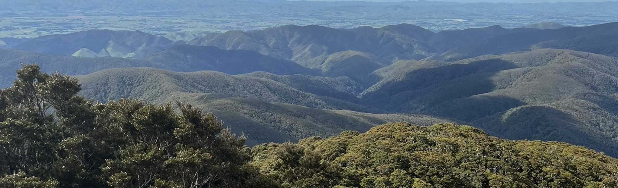 Powell Hut Track, Wellington, New Zealand - 54 Reviews, Map | AllTrails