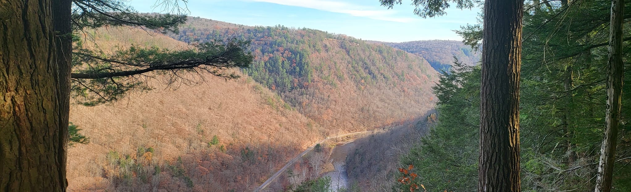 Colton Point Canyon Rim Trail: 130 Reviews, Map - Pennsylvania | AllTrails