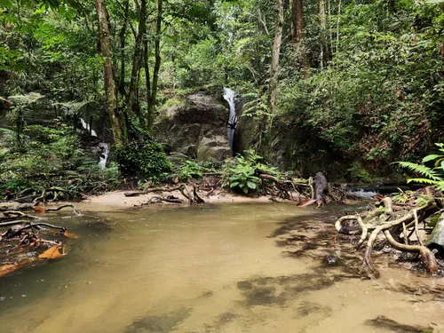 Best Hikes and Trails in Taman Eko Rimba Sungai Tekala | AllTrails