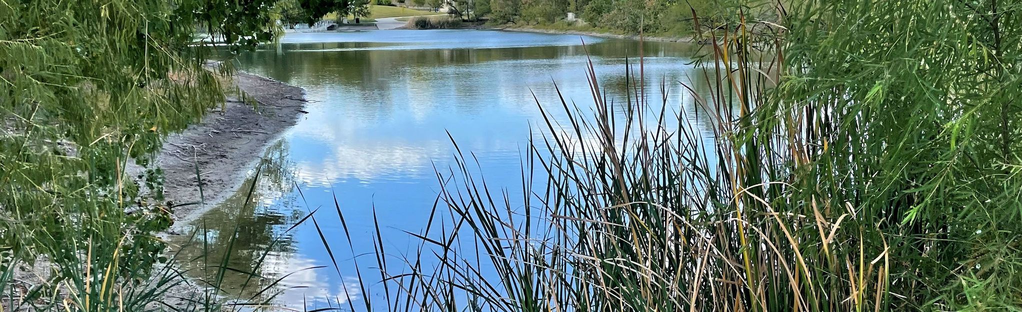 Fischer Park Loop: 302 Reviews, Map - Texas | AllTrails