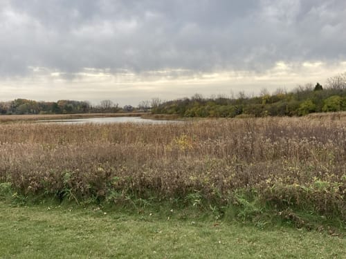 Best Hikes and Trails in Exner Marsh Conservation Area | AllTrails