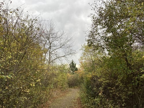 Best Hikes and Trails in Exner Marsh Conservation Area | AllTrails