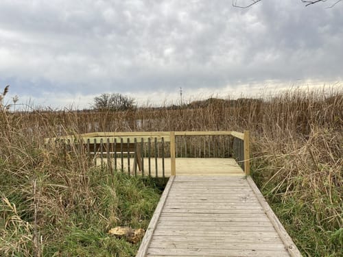 Best Hikes and Trails in Exner Marsh Conservation Area | AllTrails