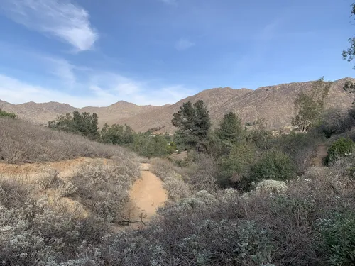 10 Best Trails and Hikes in Riverside | AllTrails