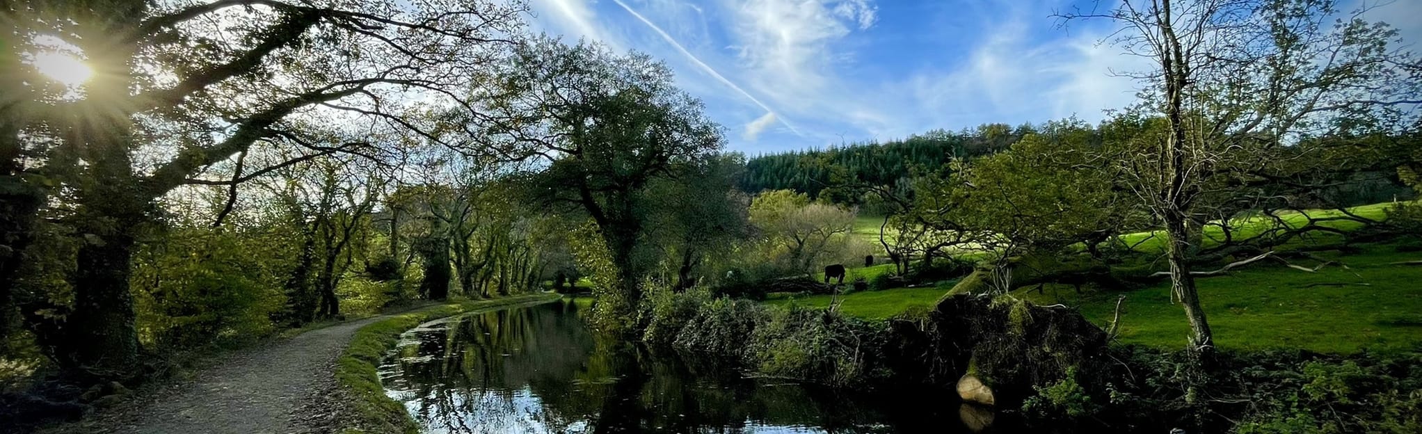 Pontypool, The Folly, and Whitestone Circular: 195 Fotos - Torfaen ...