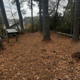 Bush Mill Preserve Trail, Virginia - 47 Reviews, Map | AllTrails