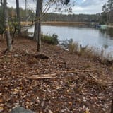 Bush Mill Preserve Trail, Virginia - 47 Reviews, Map | AllTrails