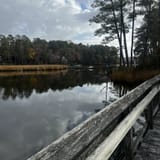 Bush Mill Preserve Trail, Virginia - 47 Reviews, Map | AllTrails