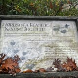 Bush Mill Preserve Trail, Virginia - 47 Reviews, Map | AllTrails