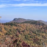 Cook's Wall Trail, North Carolina - 400 Reviews, Map | AllTrails