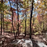 Cook's Wall Trail, North Carolina - 400 Reviews, Map | AllTrails