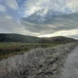 Kehoe Beach Trail, California - 337 Reviews, Map | AllTrails