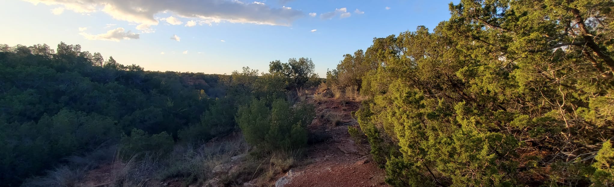 Rocky Ledges Loop | Map, Guide - Texas | AllTrails