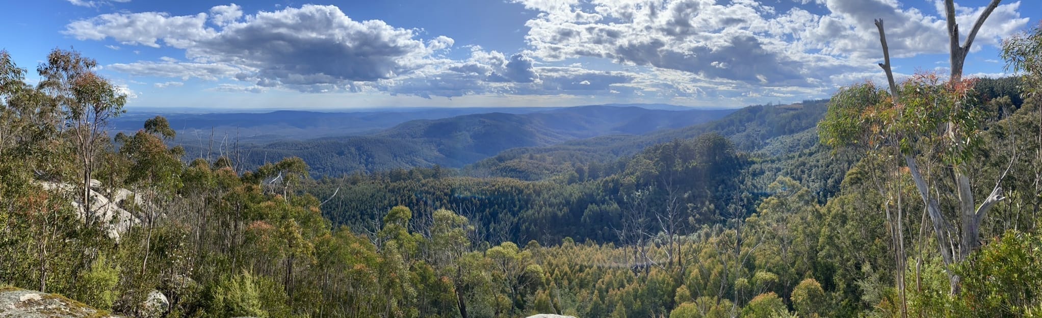 Seven Acre Rock Walking Track: 51 fotos - Vitória, Austrália | AllTrails