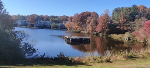 2023 Best 10 Trails and Hikes in Reston | AllTrails