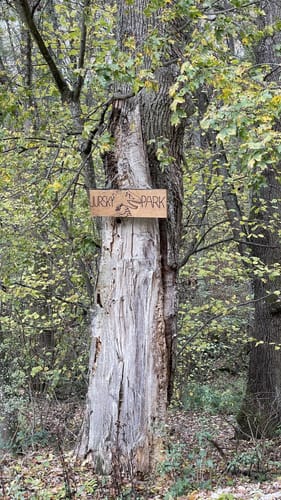 2023 Best 10 Long Trails in Chránená krajinná oblasť (CHKO) Malé ...
