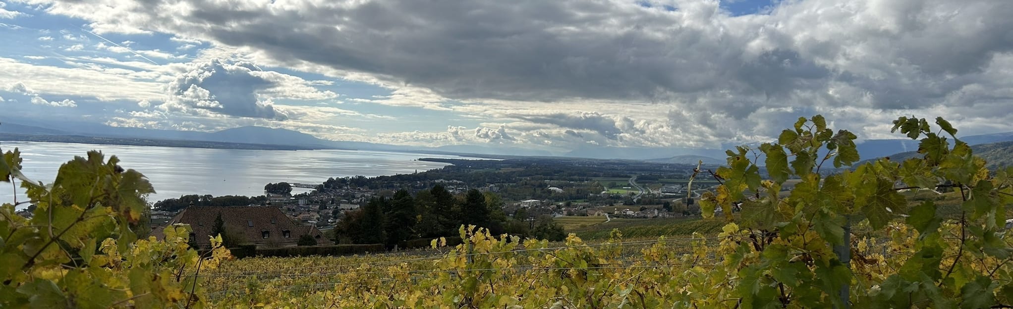 Gilly - Aubonne : 27 Photos - Vaud, Suisse | Randonnée | AllTrails