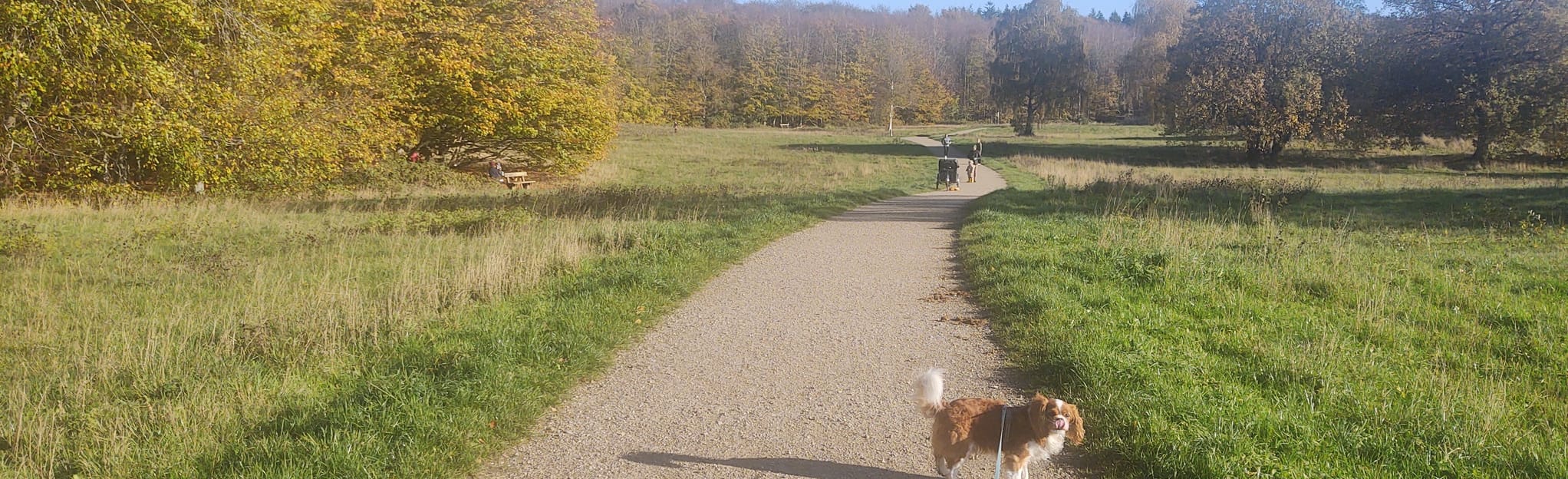 Halling Skov, Region of Southern Denmark, Denmark - 6 Reviews, Map ...