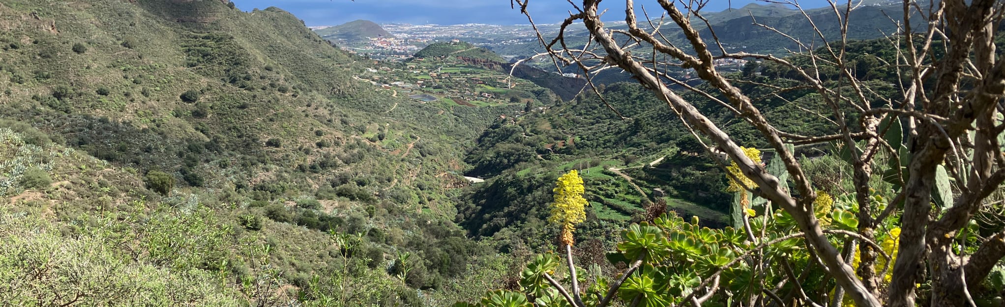 Vega de San Mateo - La Bodeguilla - El Helechal: 18 foto - Gran Canaria ...
