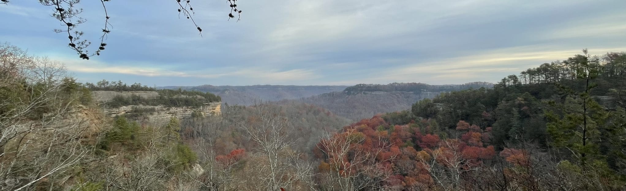 Star Gap Arch Trail: 554 Reviews, Map - Kentucky | AllTrails