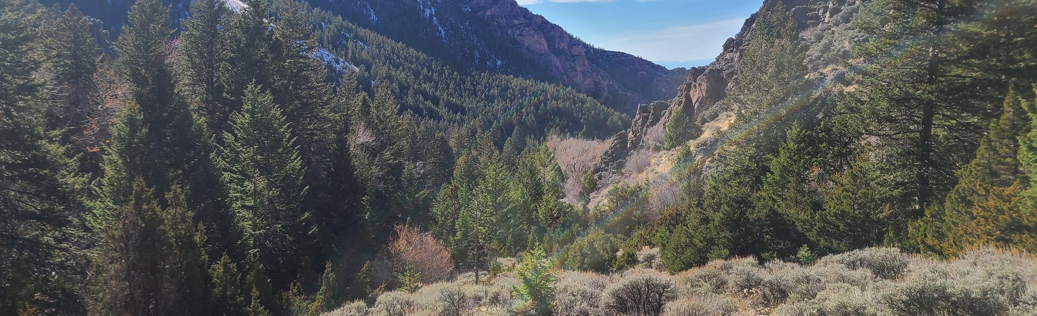Five Springs Falls, Wyoming - 39 Reviews, Map | AllTrails