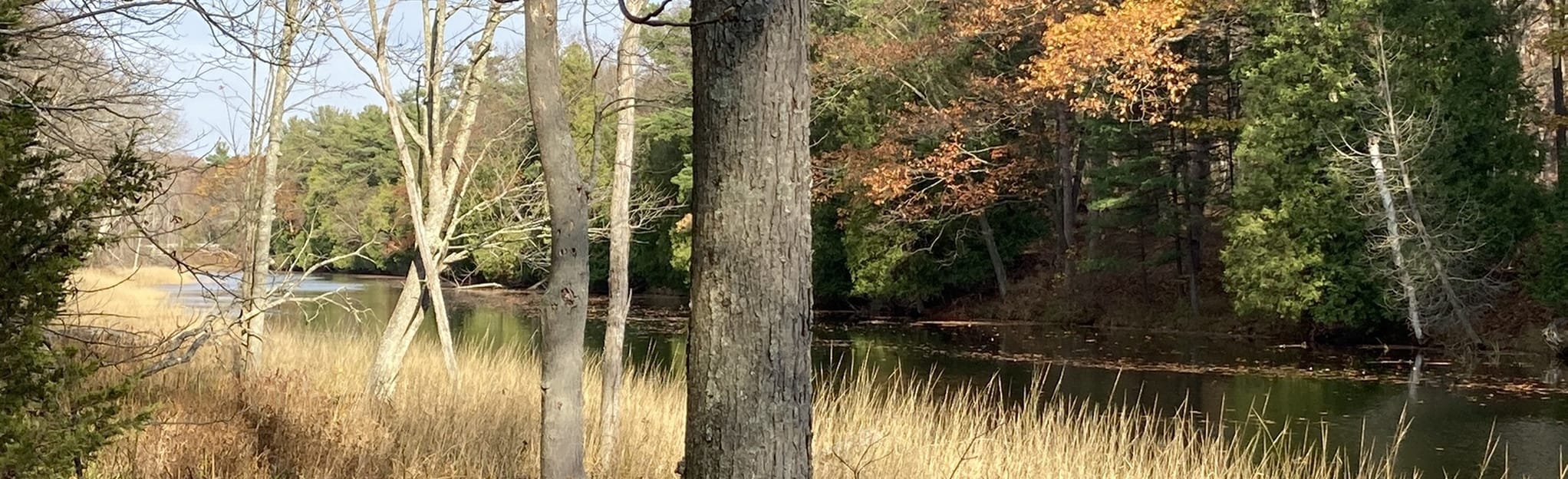 Hickory Trail | Map, Guide - Ontario, Canada | AllTrails
