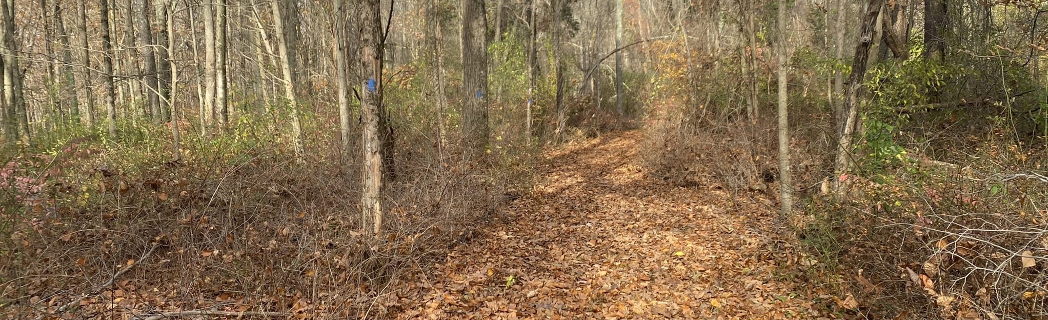 Harrison Farm Preserve Loop: 41 Reviews, Map - Connecticut | AllTrails