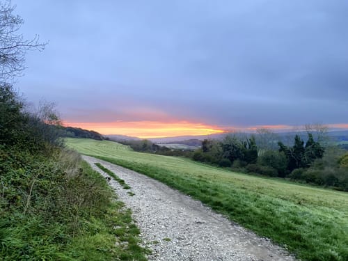 2023 Best 10 Mountain Biking Trails in Surrey Hills Area of Outstanding ...