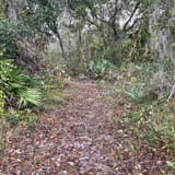 Shadow Bay Park Loop, Florida - 198 Reviews, Map | AllTrails