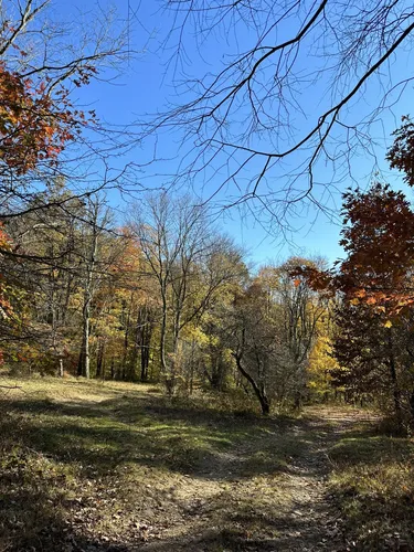 10 Best Hikes and Trails in Roaring Run Natural Area | AllTrails