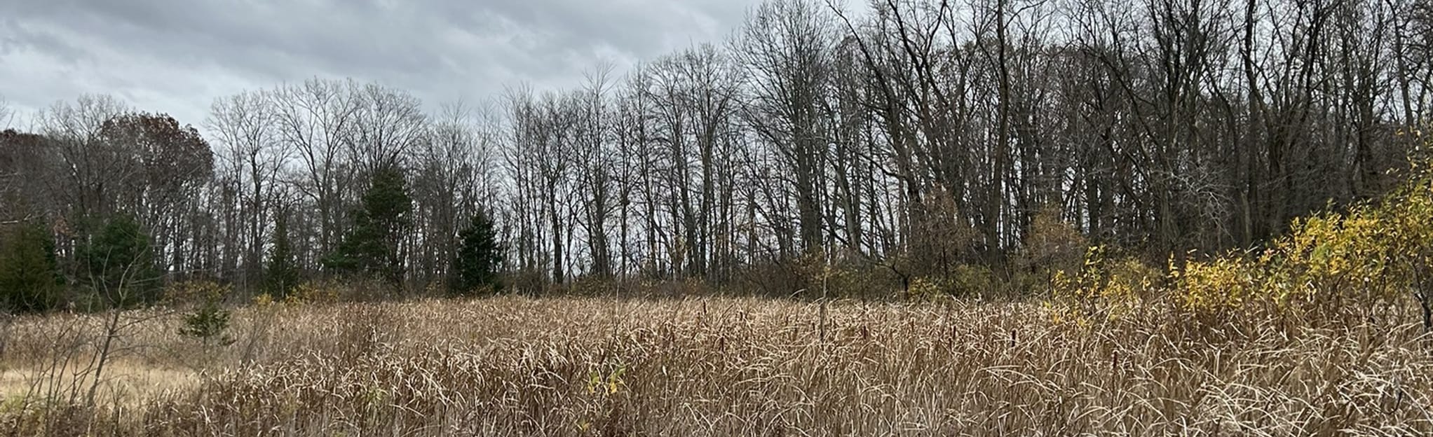 Harbert Road Preserve Trail, Michigan - 45 Reviews, Map | AllTrails