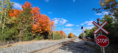 Best Hikes and Trails in Limerick Forest North | AllTrails