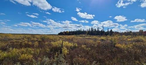 Best Hikes and Trails in Limerick Forest North | AllTrails